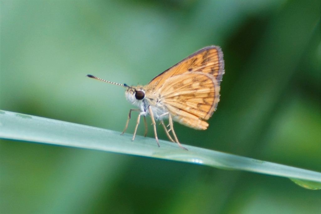 Suniana from Darwin NT, Australia on April 13, 2022 at 01:09 PM by Rod ...