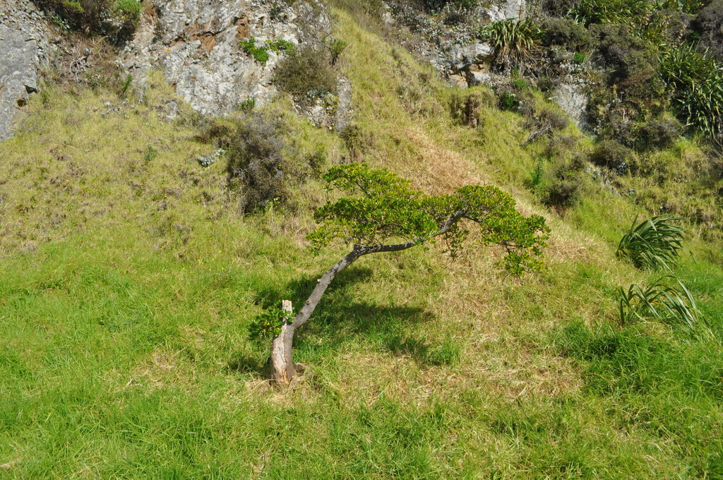 Taupata from Maupuia, Wellington 6022, New Zealand on April 30, 2022 at ...