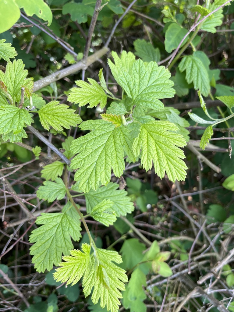Ocean spray from Work Point, Esquimalt, BC, CA on May 01, 2022 at 11:07 ...