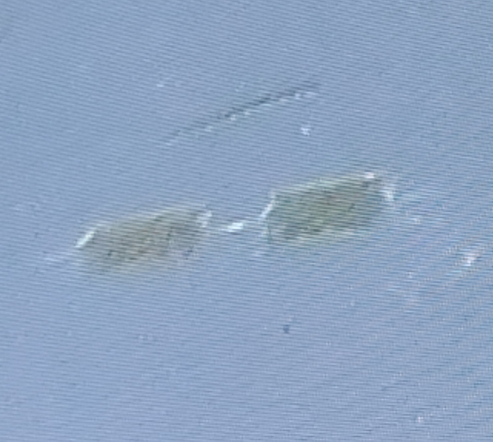 Ditylum brightwellii (T.West) Grunow, 1885