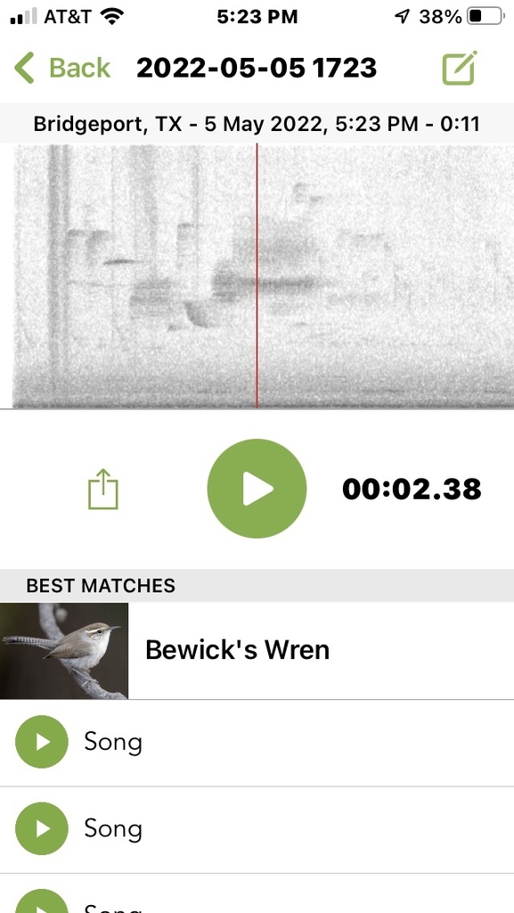 Bewick's Wren from Edgewood Dr, Bridgeport, TX, US on May 05, 2022 at ...