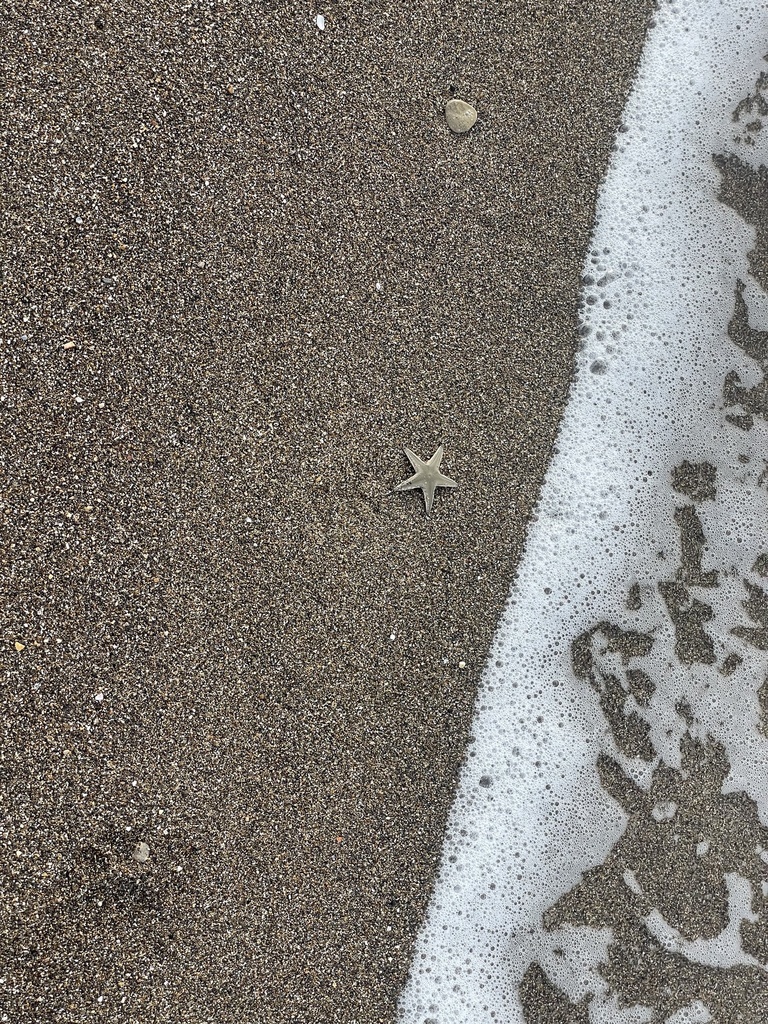 Jonston's Sand Star from Kolpos Lagana, Laganas, Zakynthos, GR on May ...