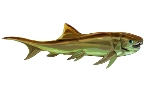 Photo 198112295, (c) Entelognathus, some rights reserved (CC BY-SA ...