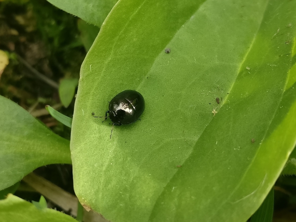 Galgupha from Waterloo, ON N2K 4A8, Canada on May 22, 2022 at 05:35 PM ...