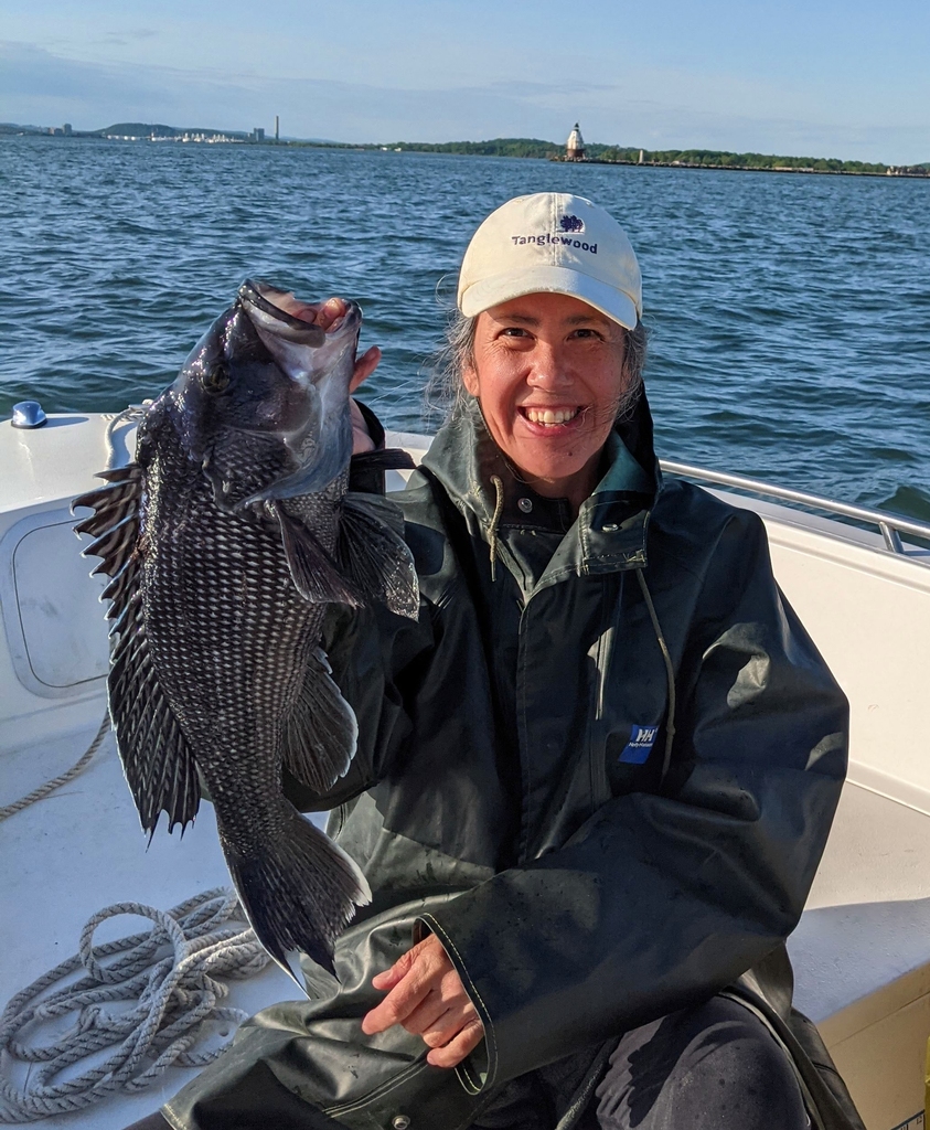 Black Sea Bass from New Haven County, CT, USA on May 24, 2022 at 11:50 ...
