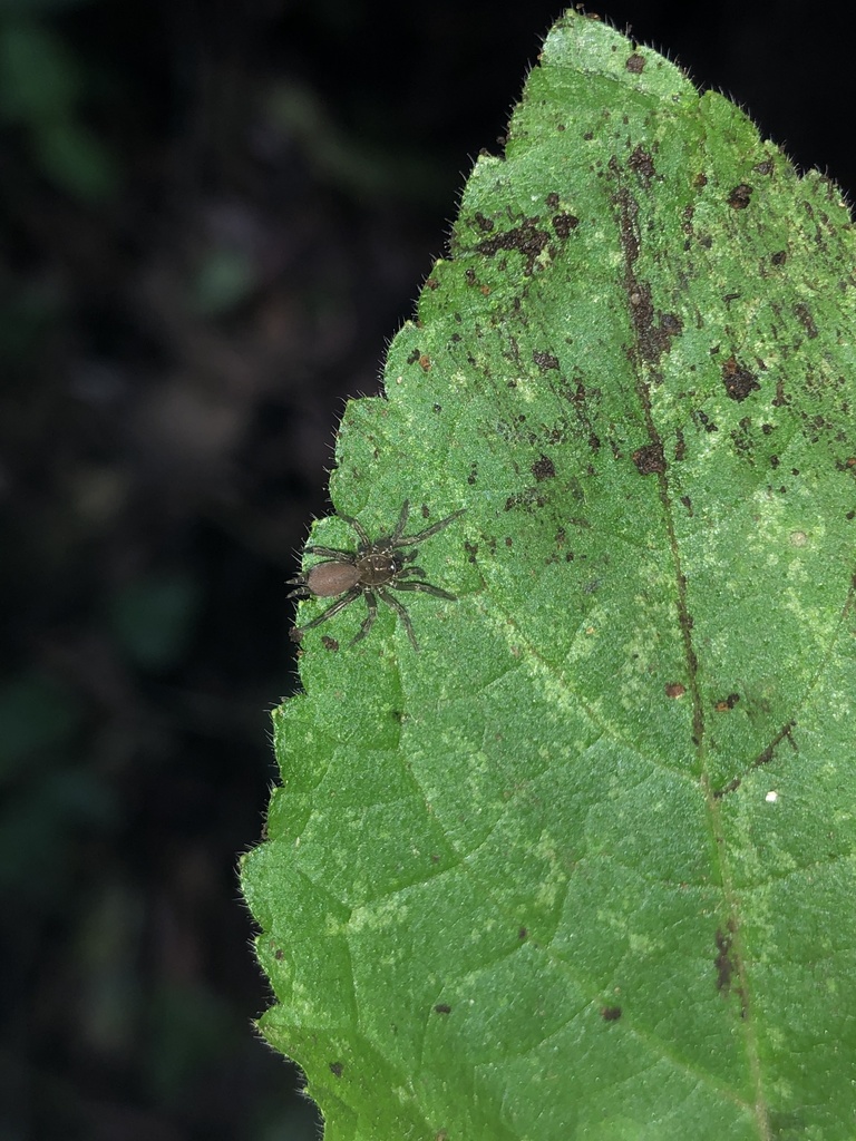 Masteria from Quito, Pichincha, EC on May 22, 2022 at 02:48 PM by ...