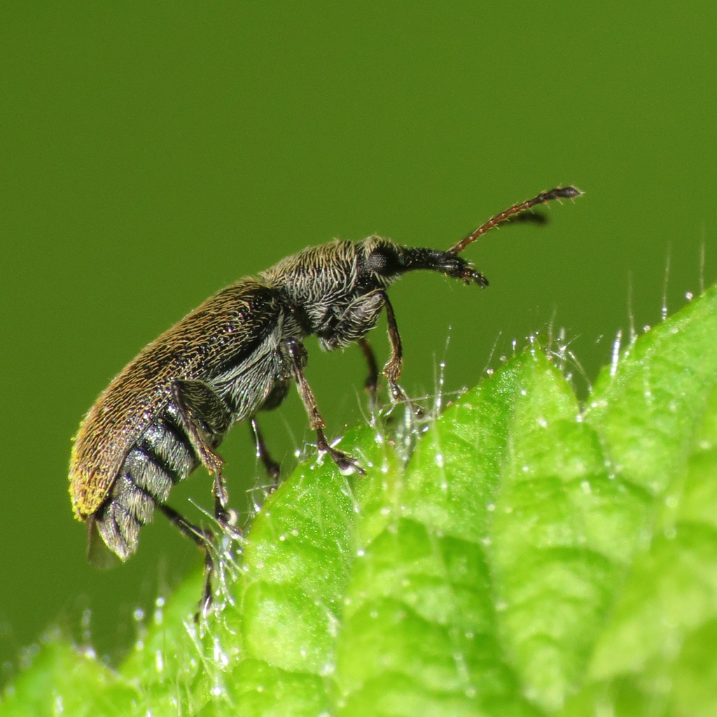 Cimberis from Vashon, WA 98070, USA on May 26, 2022 at 11:58 AM by ...