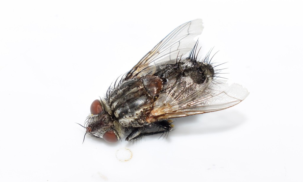 Gonia from Αττική, Ελλάδα on May 14, 2022 at 04:49 PM by Σάββας ...