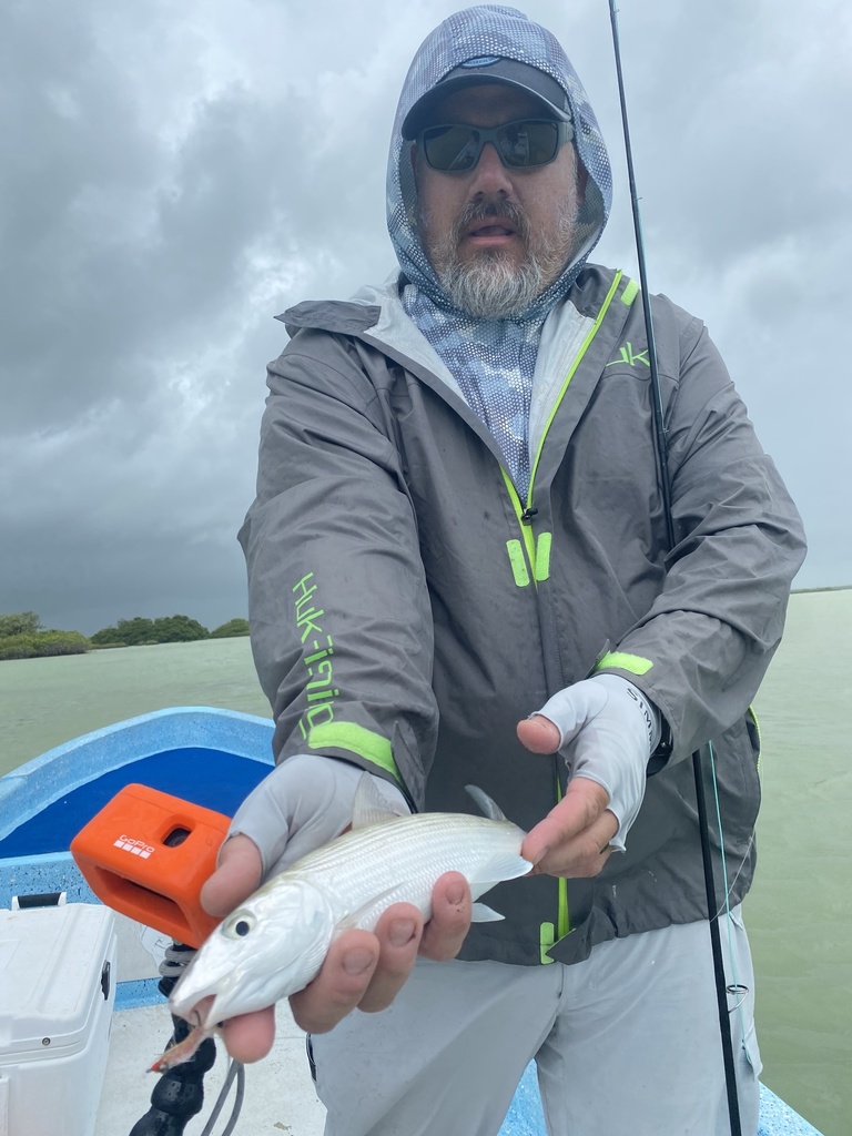 Bonefish in May 2022 by Mark Berninger · iNaturalist