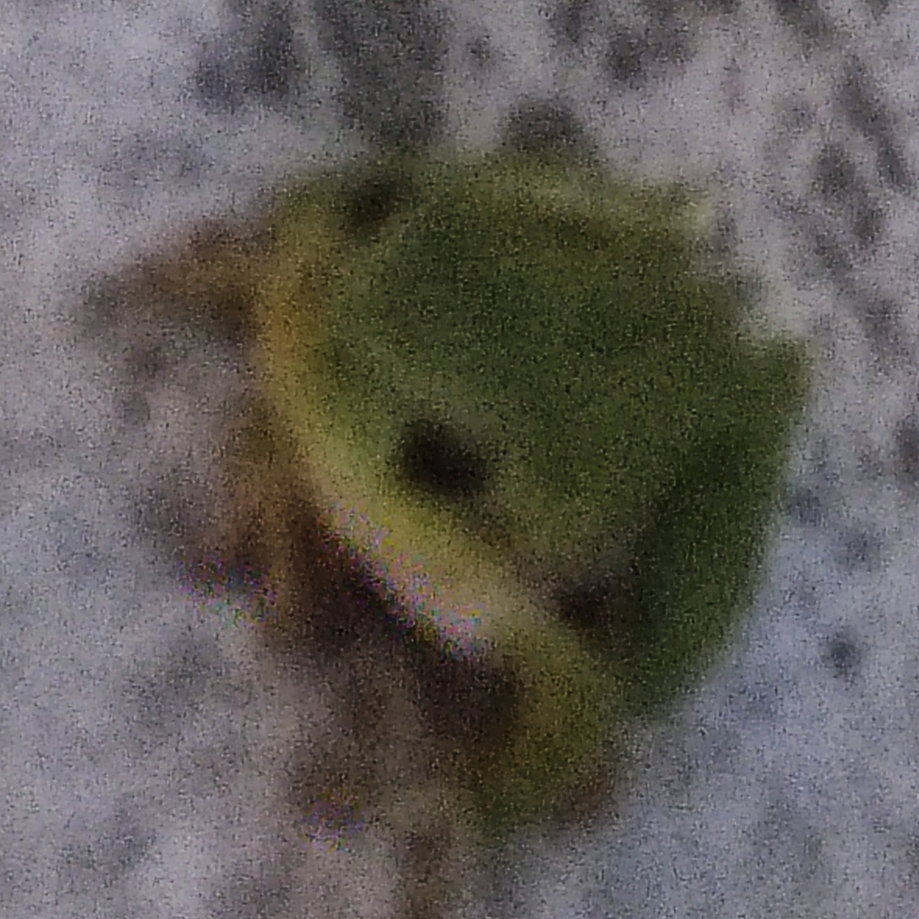 Eastern Tree Frog from North Aegean, Aegean, GR on June 05, 2022 at 09: ...