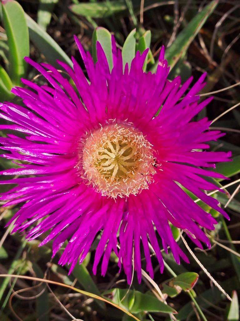 Sally-my-handsome from Heiderand, Mossel Bay on June 09, 2022 at 02:17 ...