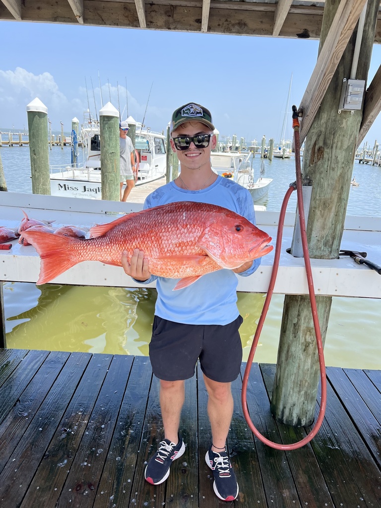 Northern Red Snapper in June 2022 by turquoisetortoise · iNaturalist