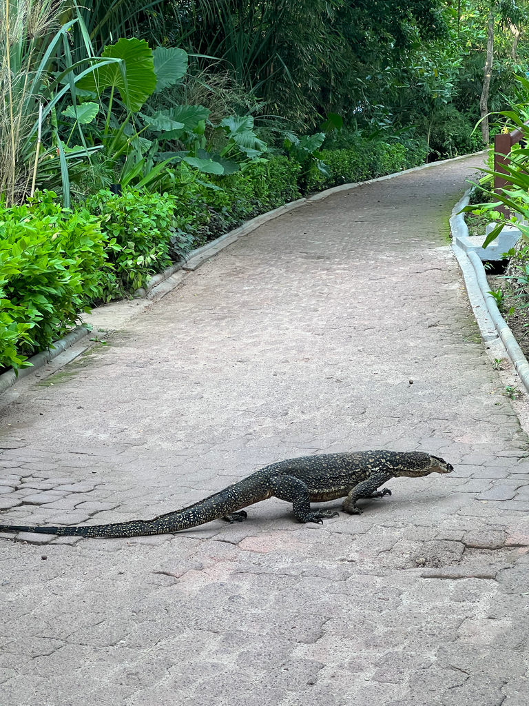 Palawan Monitor from Philippines on June 16, 2022 at 05:19 PM by ...