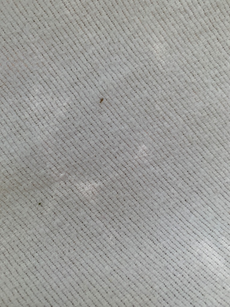 Barklice, Booklice, and Parasitic Lice from Piedmont Wildlife Center on ...