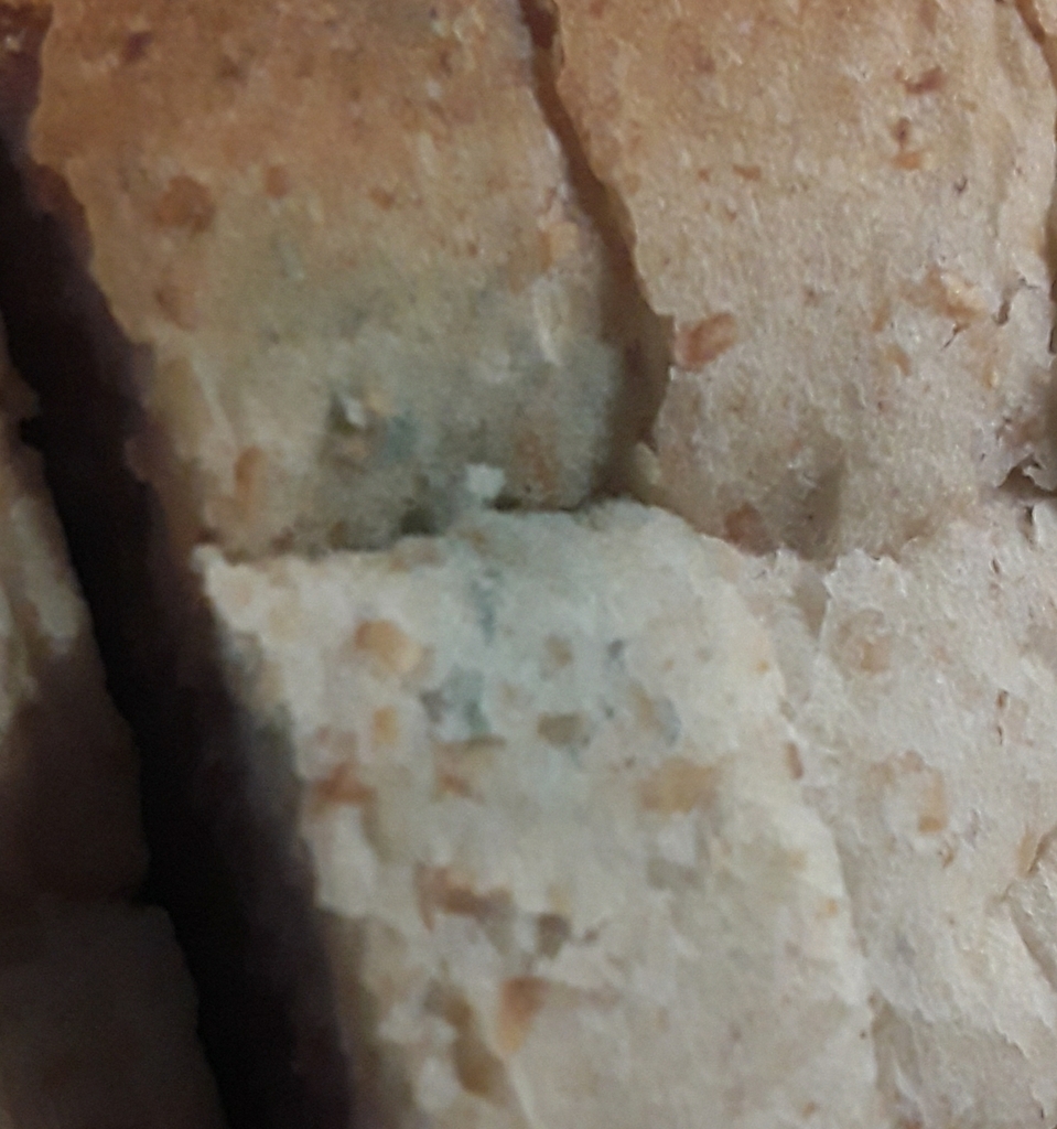 Black Bread Mold from Near Northside, Indianapolis, IN, États-Unis on ...