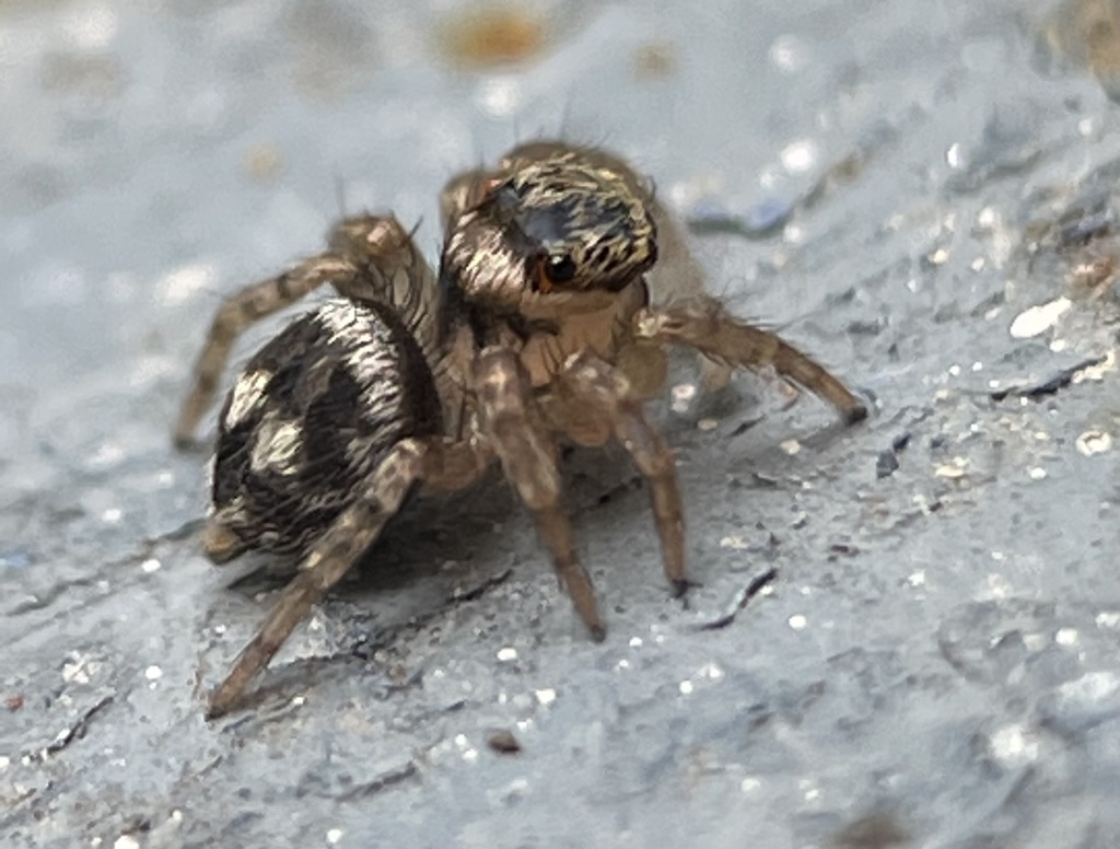 Jotus from Cooktown, QLD, AU on June 28, 2022 at 12:21 PM by suecee ...