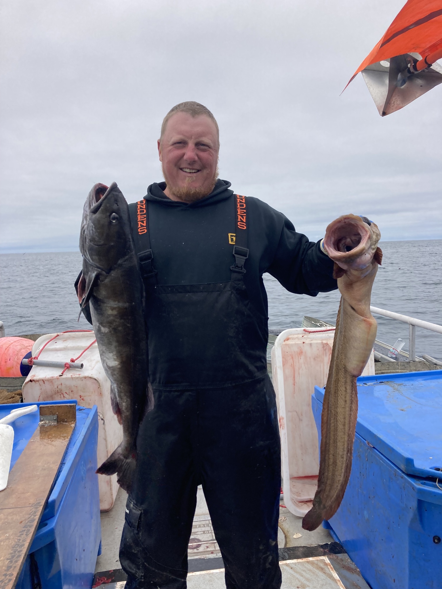 Cryptacanthodes giganteus (Kittlitz, 1858)