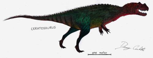 Ceratosaurus nasicornis · iNaturalist