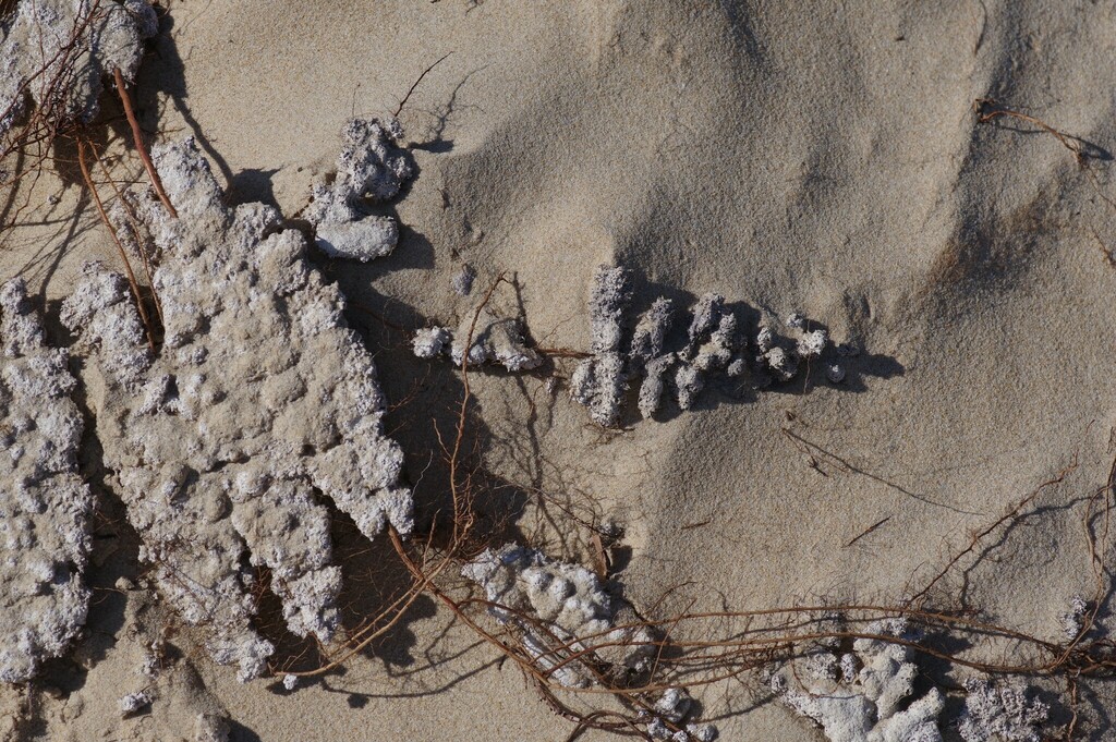 Something from Kasouga, south along the beach to Lonely Rock, Eastern ...