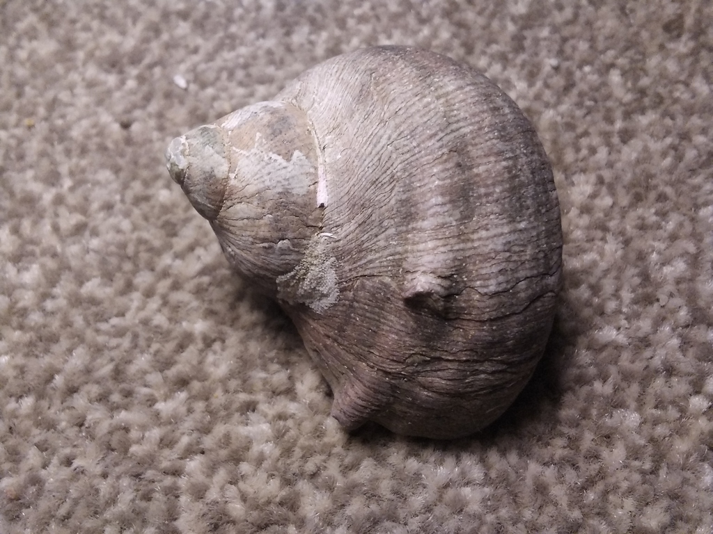 Military Turban from Woolgoolga NSW 2456, Australia on July 13, 2022 at ...