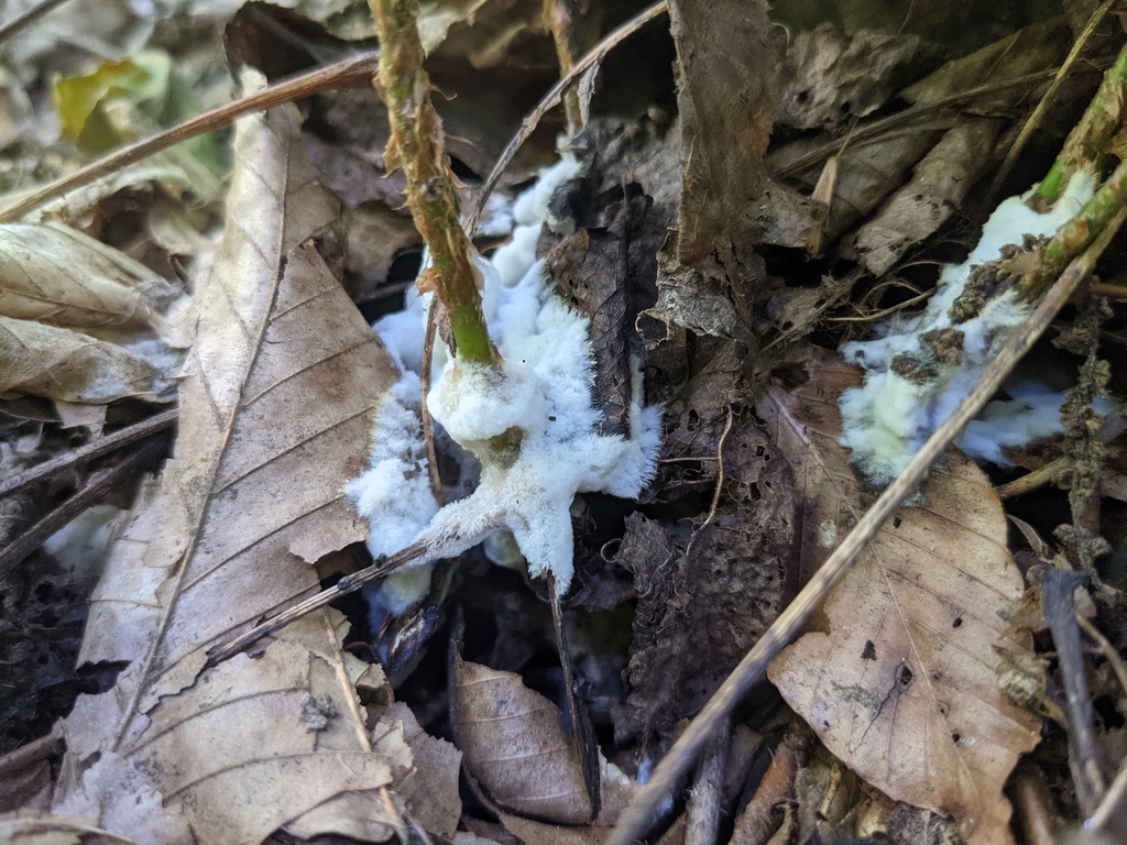 enveloping crust from Aspen Hill, MD, USA on July 15, 2022 at 02:29 PM ...