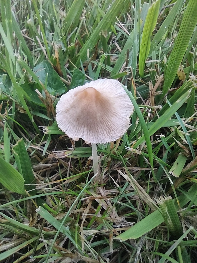 white dunce cap from Delaware, OH 43015, USA on July 18, 2022 at 07:03 ...