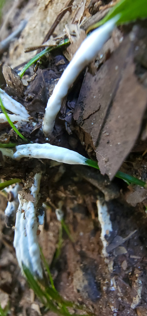 enveloping crust from Yorkmount, Charlotte, NC, USA on July 18, 2022 at ...