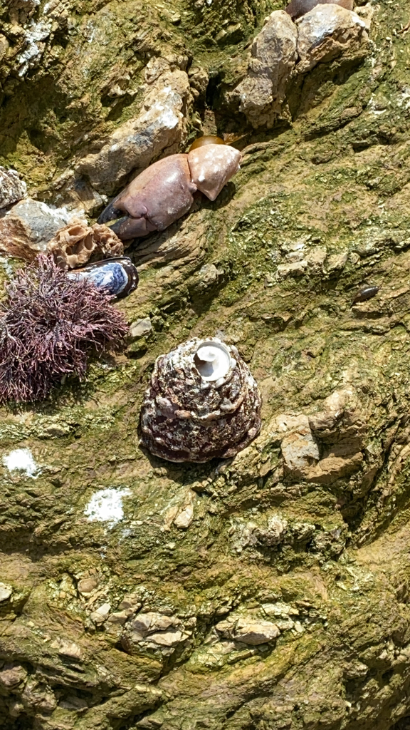 Wavy Turban from Newport Beach on July 21, 2022 at 12:28 PM by ...