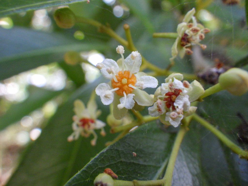 Inkwood from Monroe, Florida, United States on March 19, 2022 at 12:37 ...