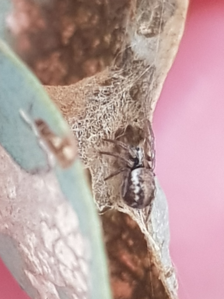 Salsa from Narre Warren VIC 3805, Australia on July 26, 2022 at 02:34 ...