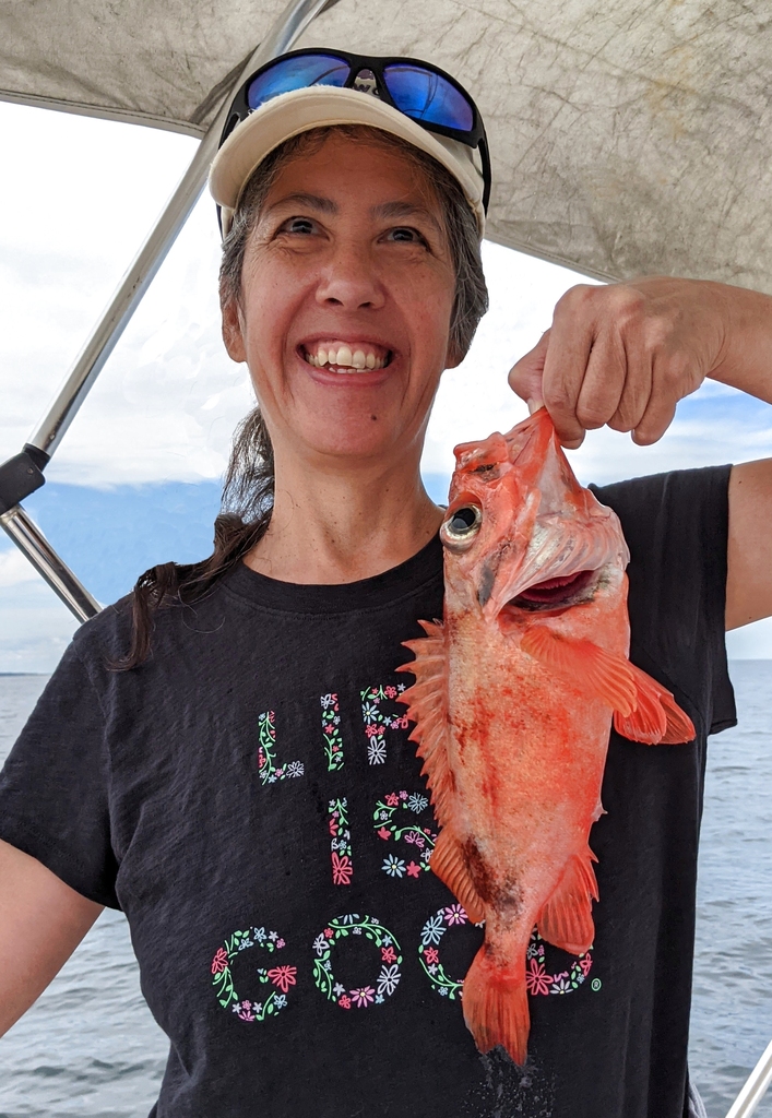 Acadian redfish in July 2022 by uconnbirdfish · iNaturalist