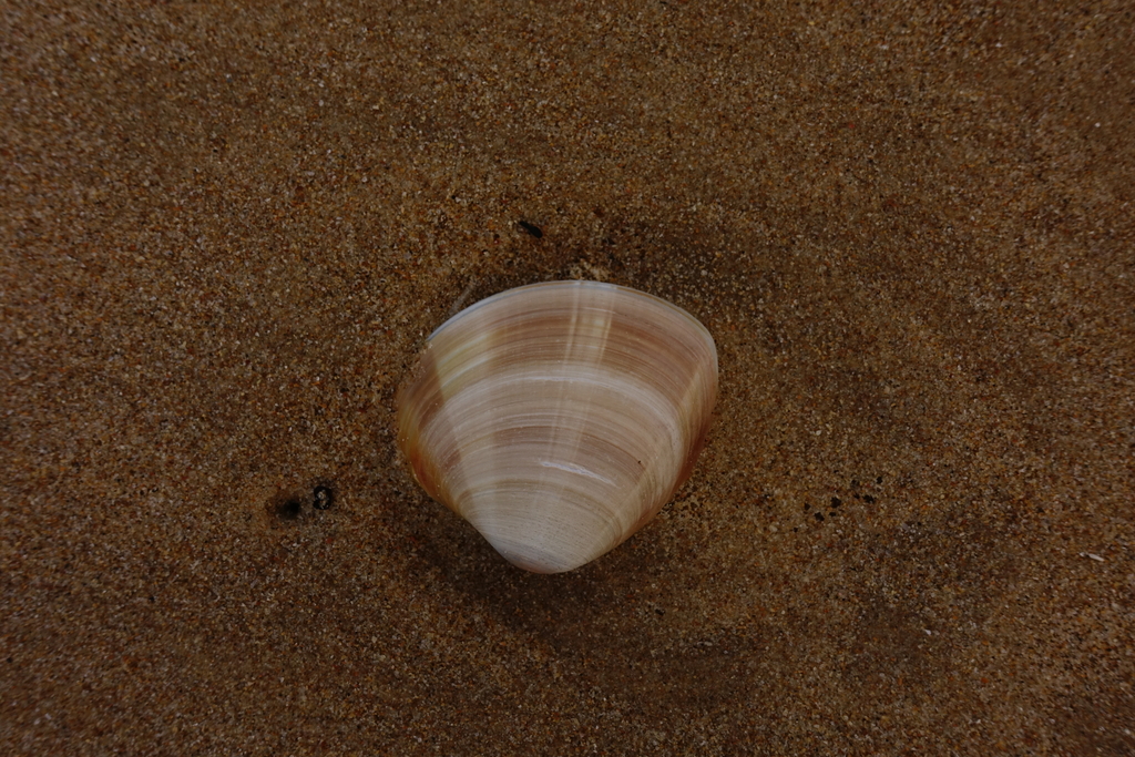 Venerida from Victoria, Australia on July 19, 2018 at 03:39 PM by Wayne ...