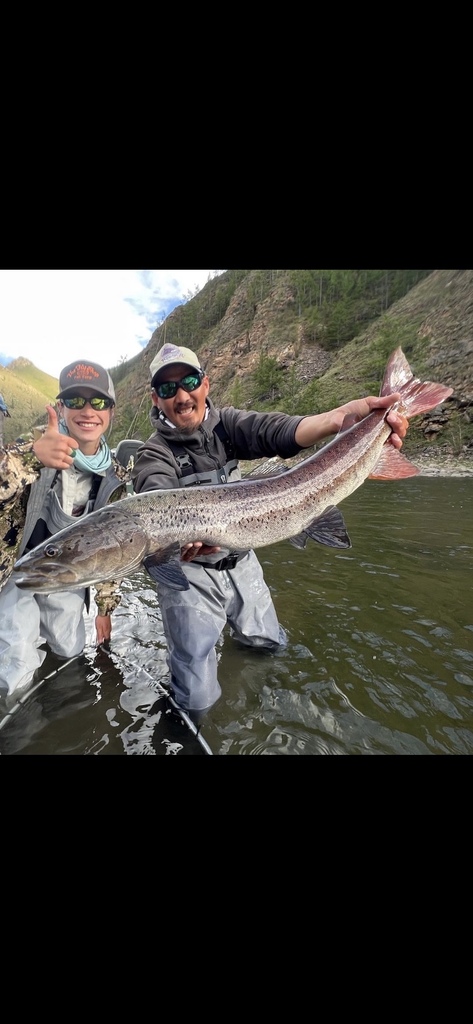 Siberian Taimen in August 2022 by taiman. A beautiful fish i caught in ...