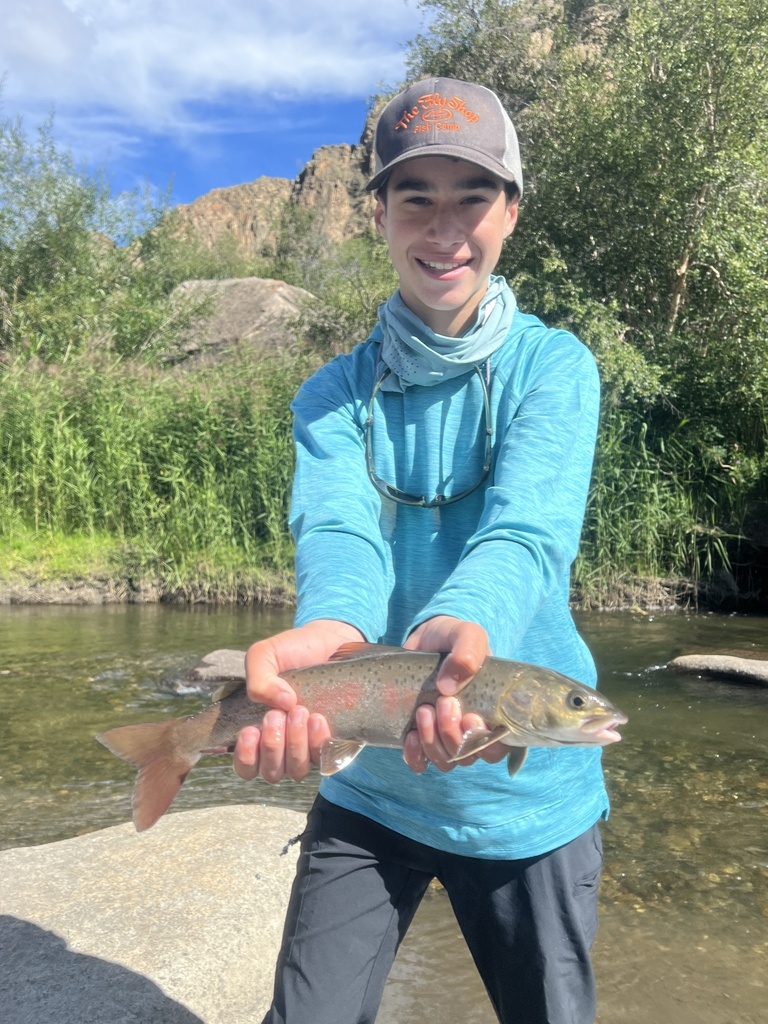 Sharp-snouted Lenok from Khövsgöl, MN on July 25, 2022 at 12:12 PM by ...