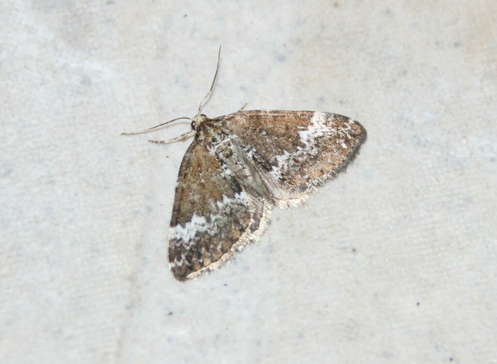 Small Rivulet from Graz Umgebung, AT-ST, AT on July 25, 2022 at 10:12 ...