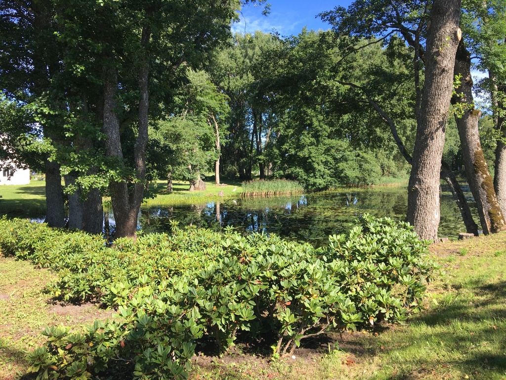 Great Egret from Sariai, Lithuania on August 08, 2022 at 10:24 AM by ...