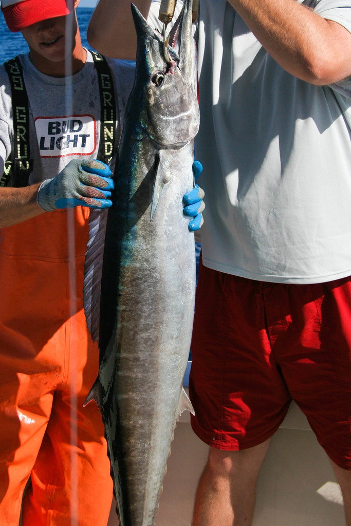 Wahoo from Offshore Honolulu on December 19, 2005 at 01:56 AM by BJ ...