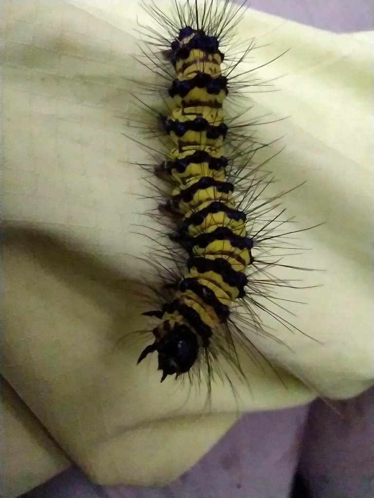 Saucy Beauty from Isla Agaltepec on August 12, 2022 at 10:34 AM by ...