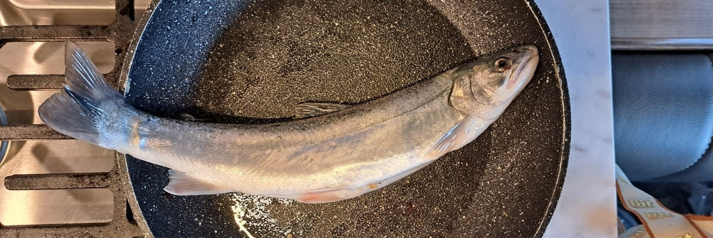 Dolly Varden Char from Lutak, Alaska 99827, USA on August 01, 2022 at ...