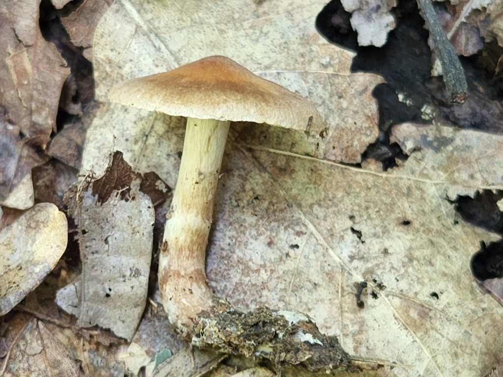 Webcaps from Patoka Lake, Indiana, USA on August 09, 2022 at 07:05 PM ...