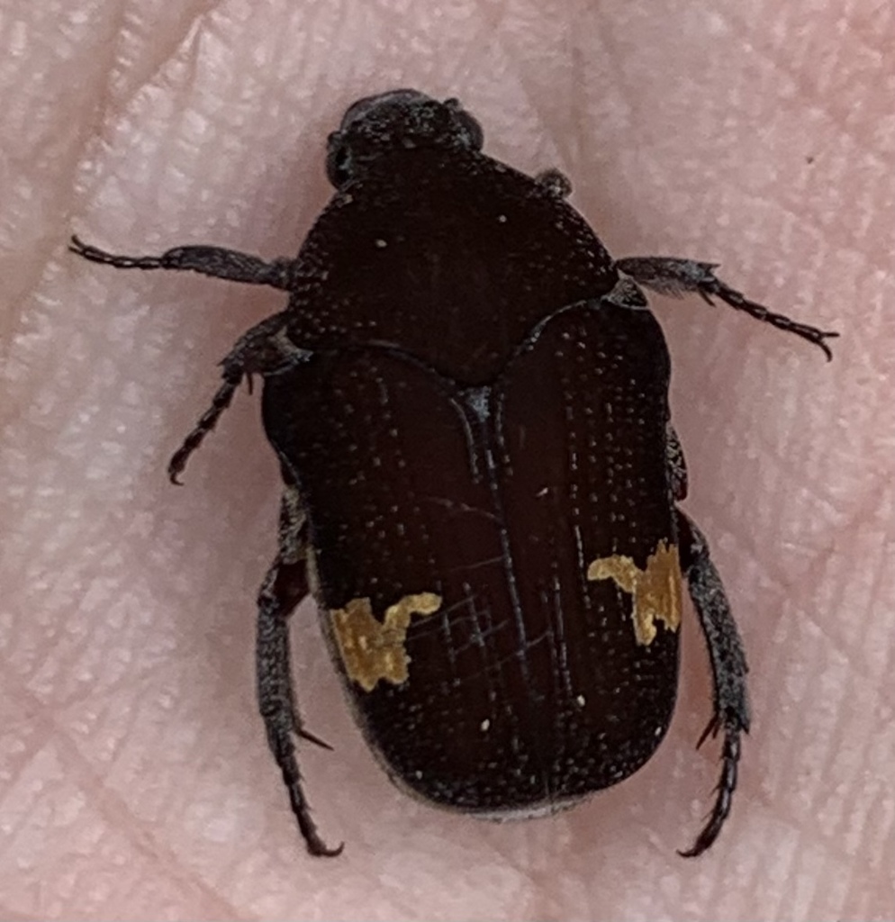 Clinteria from 1 Cluny Rd, Singapore 259569 on August 25, 2022 at 12:52 ...