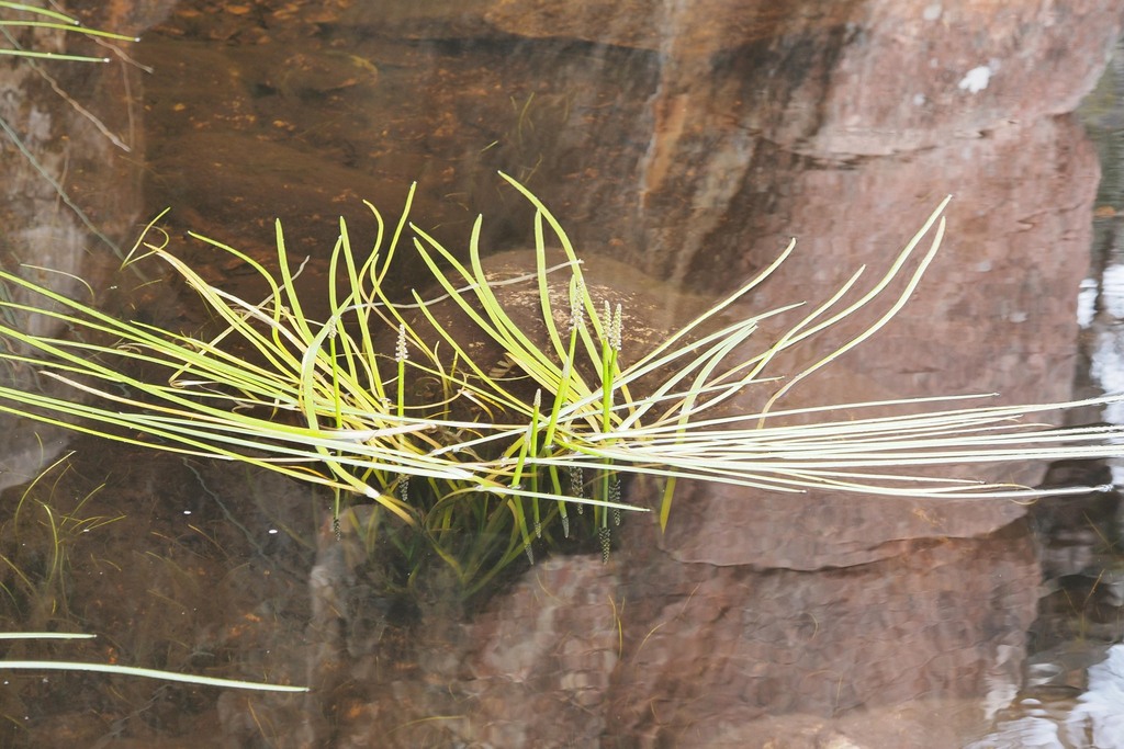 Water Ribbons from Halls Gap VIC 3381, Australia on September 29, 2018 ...