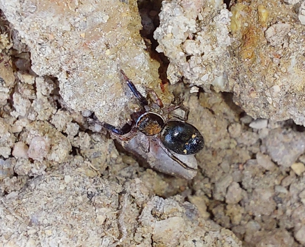 Natta from Malmesbury on September 1, 2022 at 03:09 PM by Wessel ...