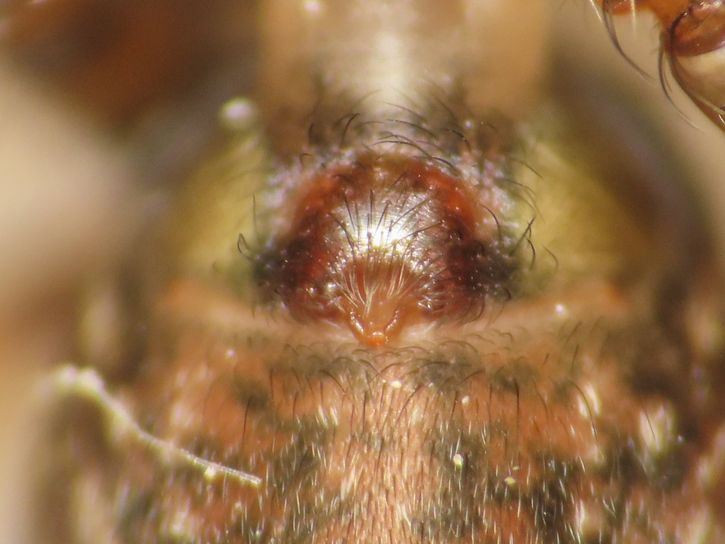 Textrix from Province of L'Aquila, Italy on September 5, 2022 at 07:09 ...