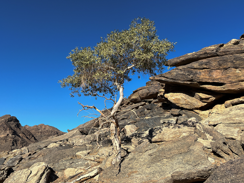 Ringwood from Fish River Canyon, Namibia on August 17, 2022 at 09:59 AM ...