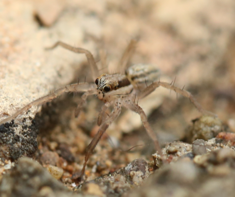 Trabea from Middelburg, 1055, South Africa on April 05, 2020 at 02:20 ...