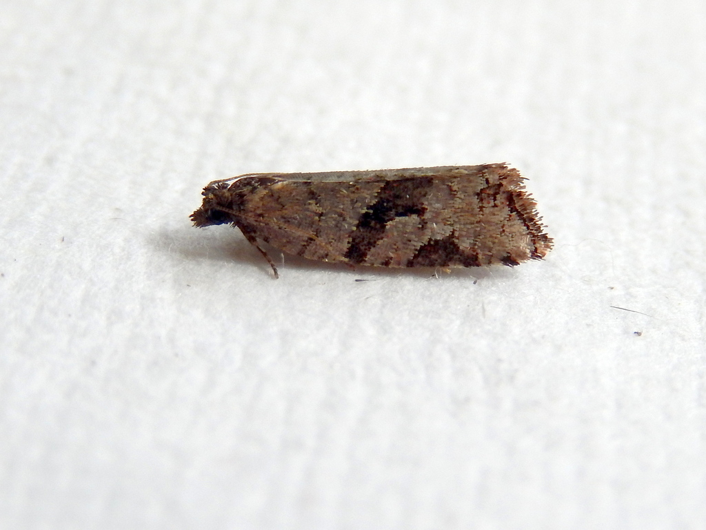 Meritastis from Sydney NSW, Australia on September 21, 2022 at 10:13 AM ...