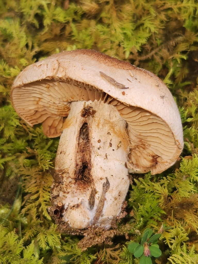 Webcaps from Clarion County, US-PA, US on September 23, 2022 at 07:29 ...