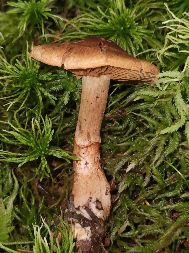 Webcaps from Clarion County, US-PA, US on September 23, 2022 at 12:32 ...