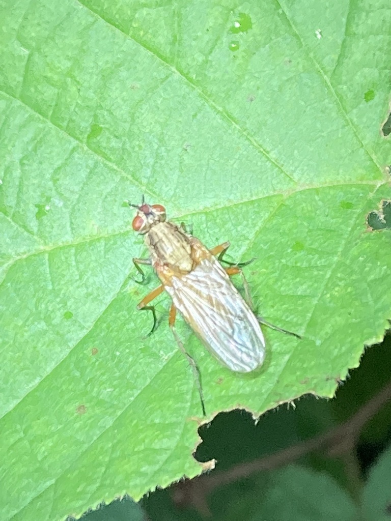 Flies from Andover, MN 55304, USA on September 24, 2022 at 03:26 PM by ...